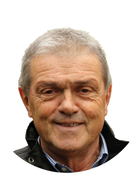 Romano MOSCETTI | Gargenville